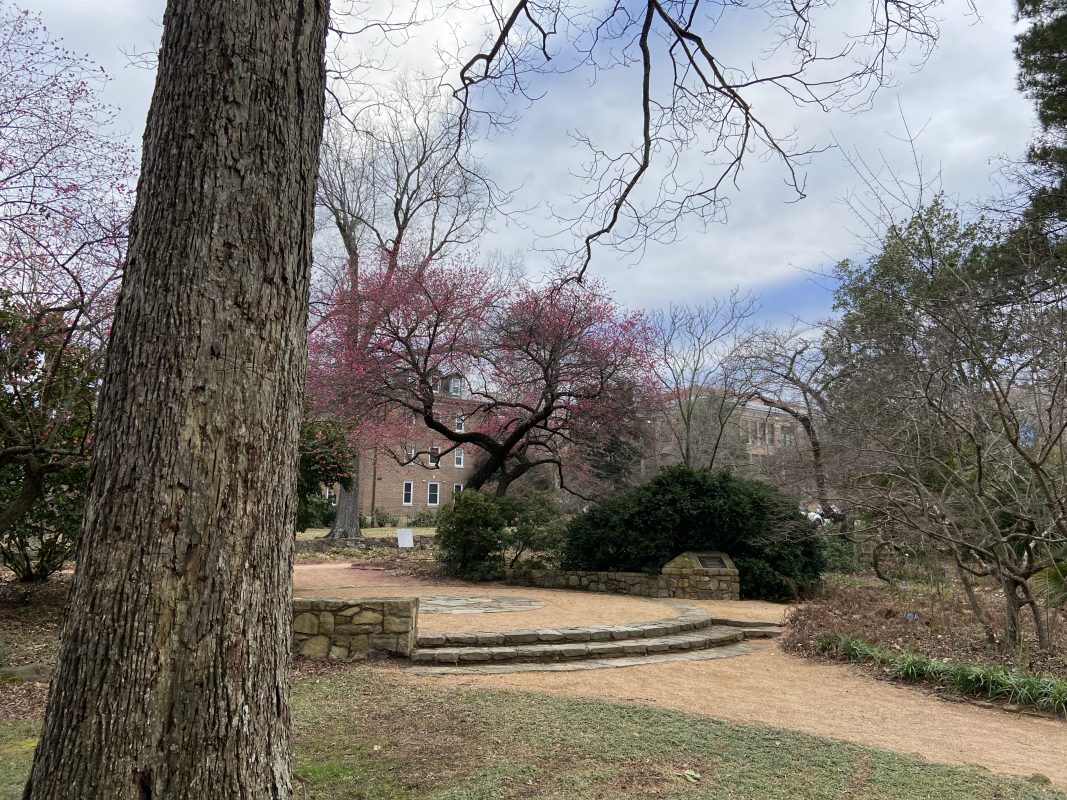 Renovations at the Coker Arboretum don’t stop students from making use ...